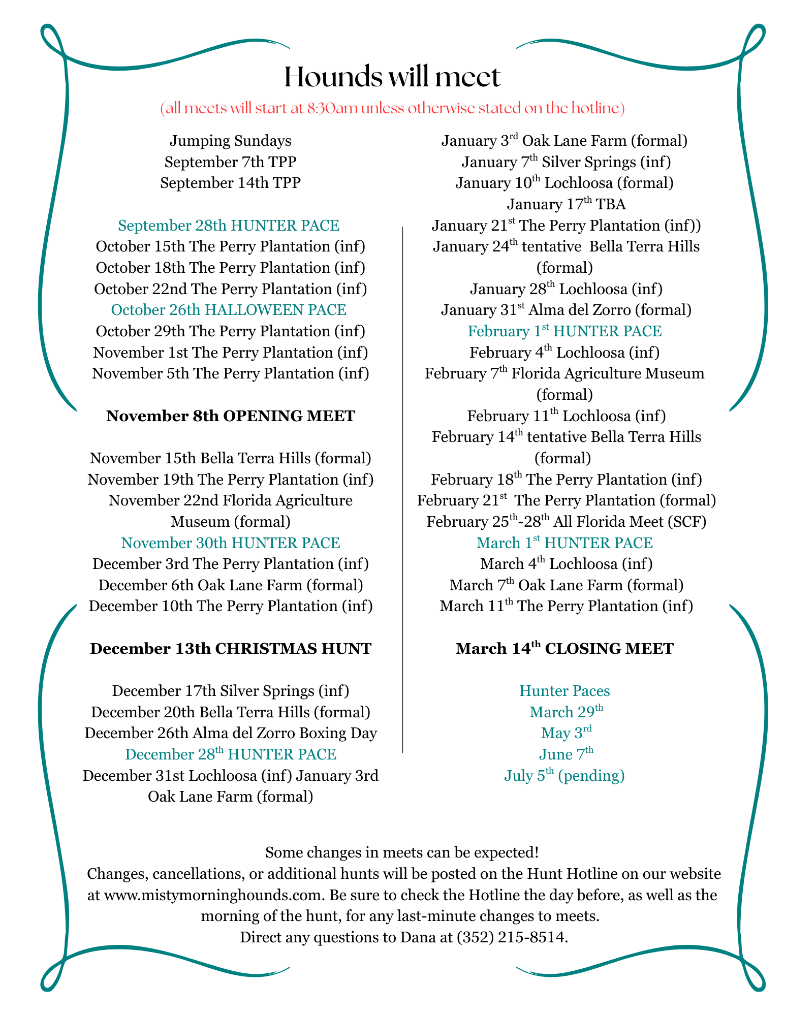 Misty Morning Hounds